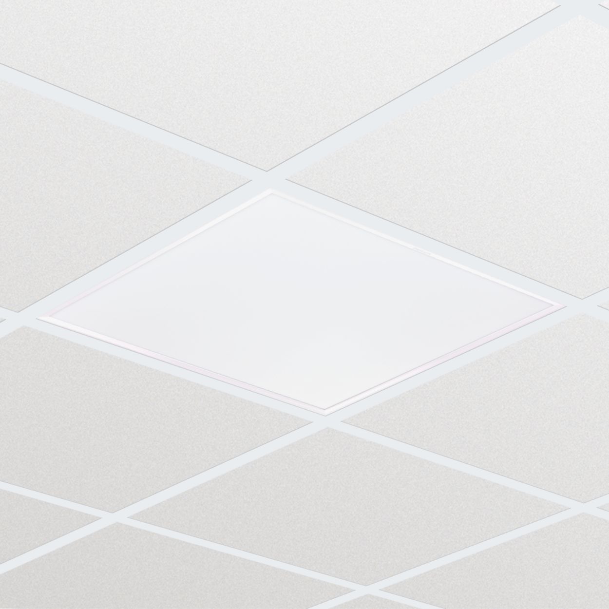 RC127V LED34S/830 PSU W60L60 OC CoreLine Panel - Philips